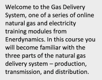 The Gas Delivery System Course Sample